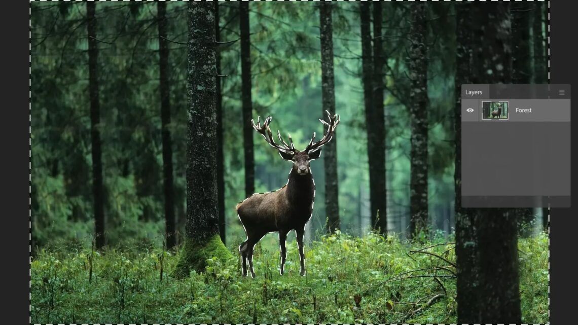 The power of AI: Incredible Photoshop AI generative fill examples ...