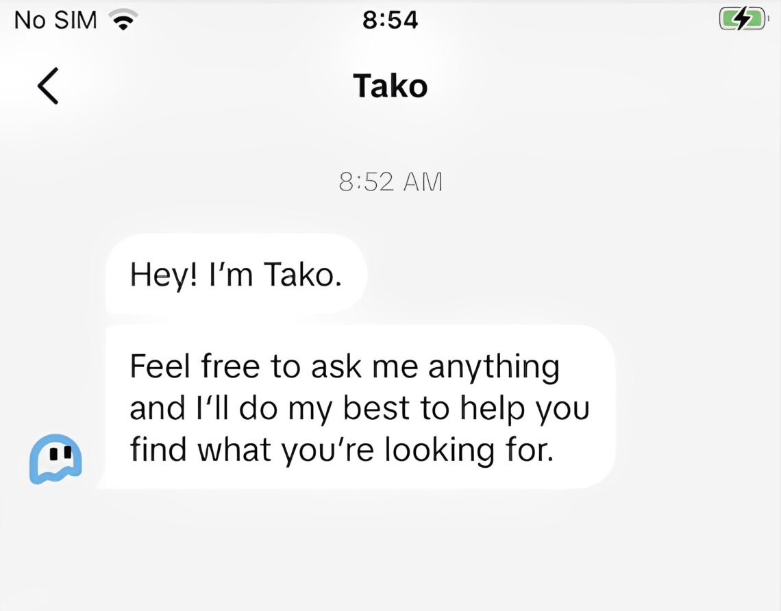TikTok Tako chatbot is on its way to personalize the platform with AI ...