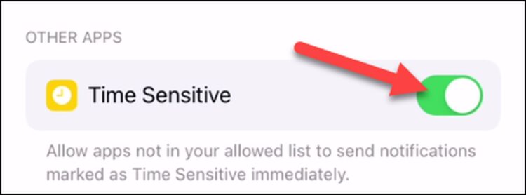 What does time sensitive mean on iPhone and how to use it - TechBriefly