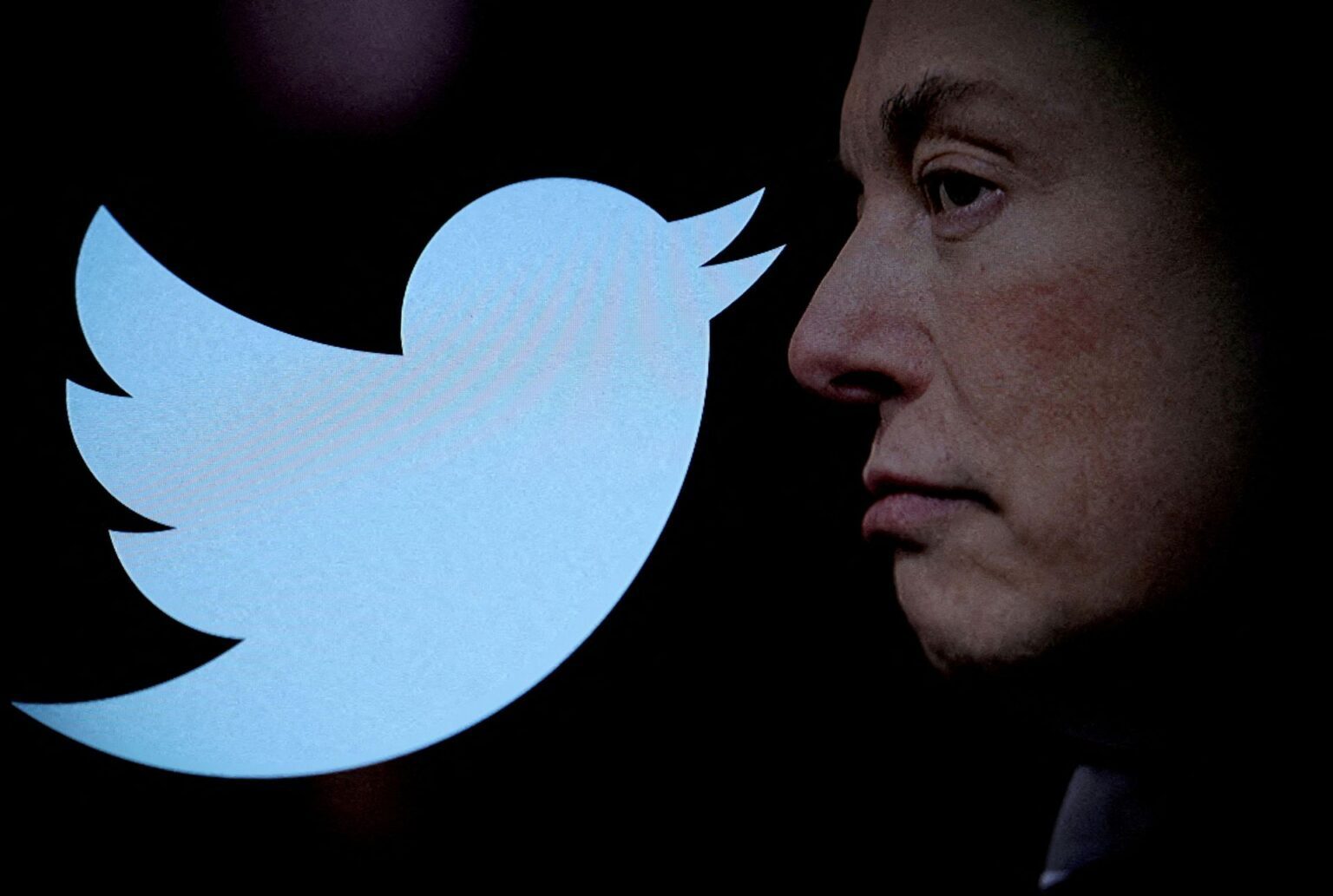 Can the new Twitter CEO fix the platform's problems? • TechBriefly