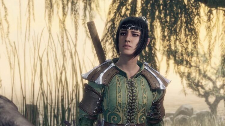 Who is the The Guardian in character creation in Baldur's Gate 3 ...