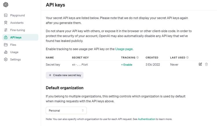 ChatGPT-API-Schlüssel: So erhalten Sie ihn, Nutzungsbeschränkungen und ...