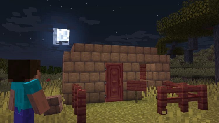 How to teleport to coordinates in Minecraft easily - TechBriefly